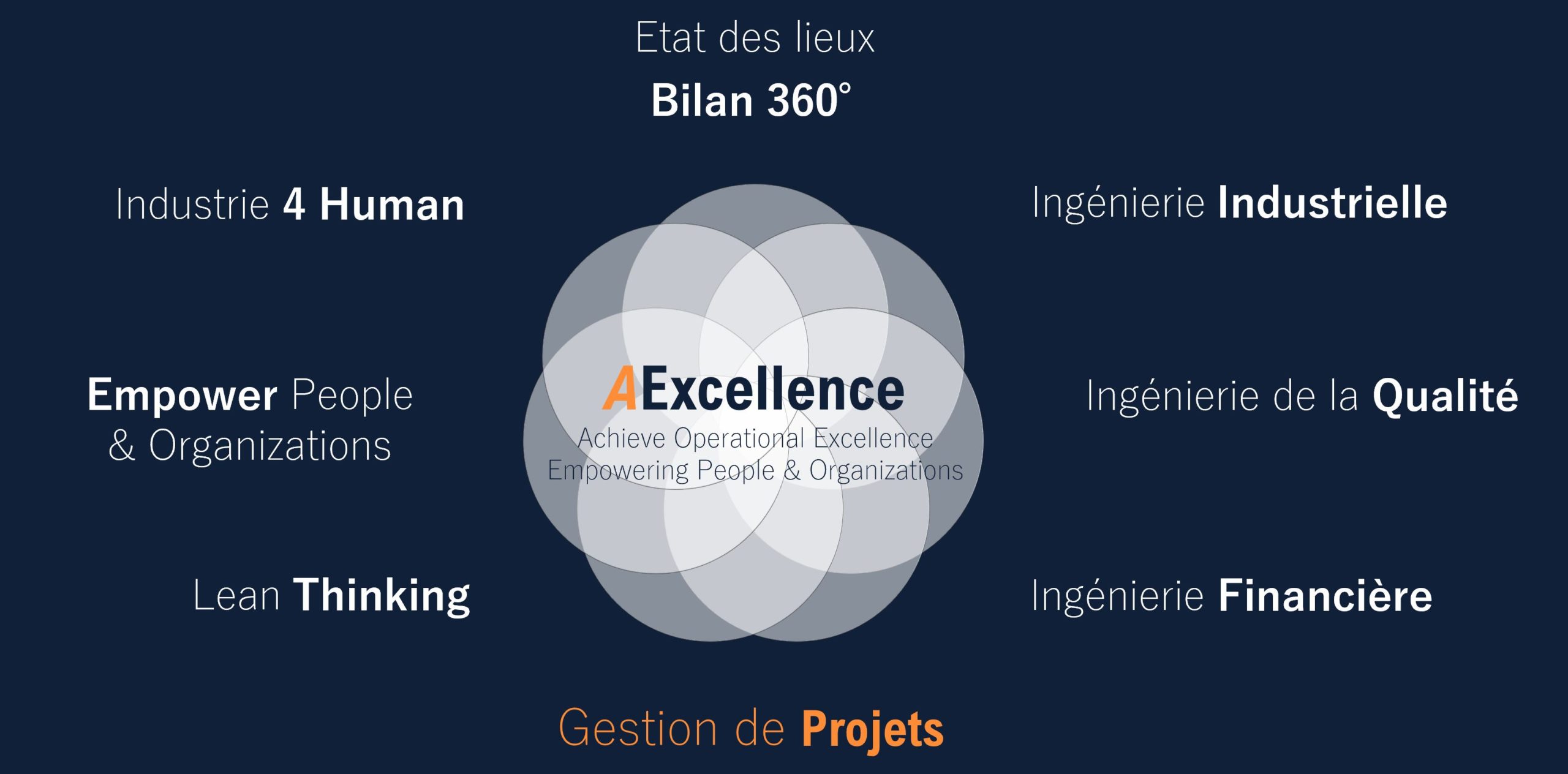 Project & Portfolio Management | AExcellence
